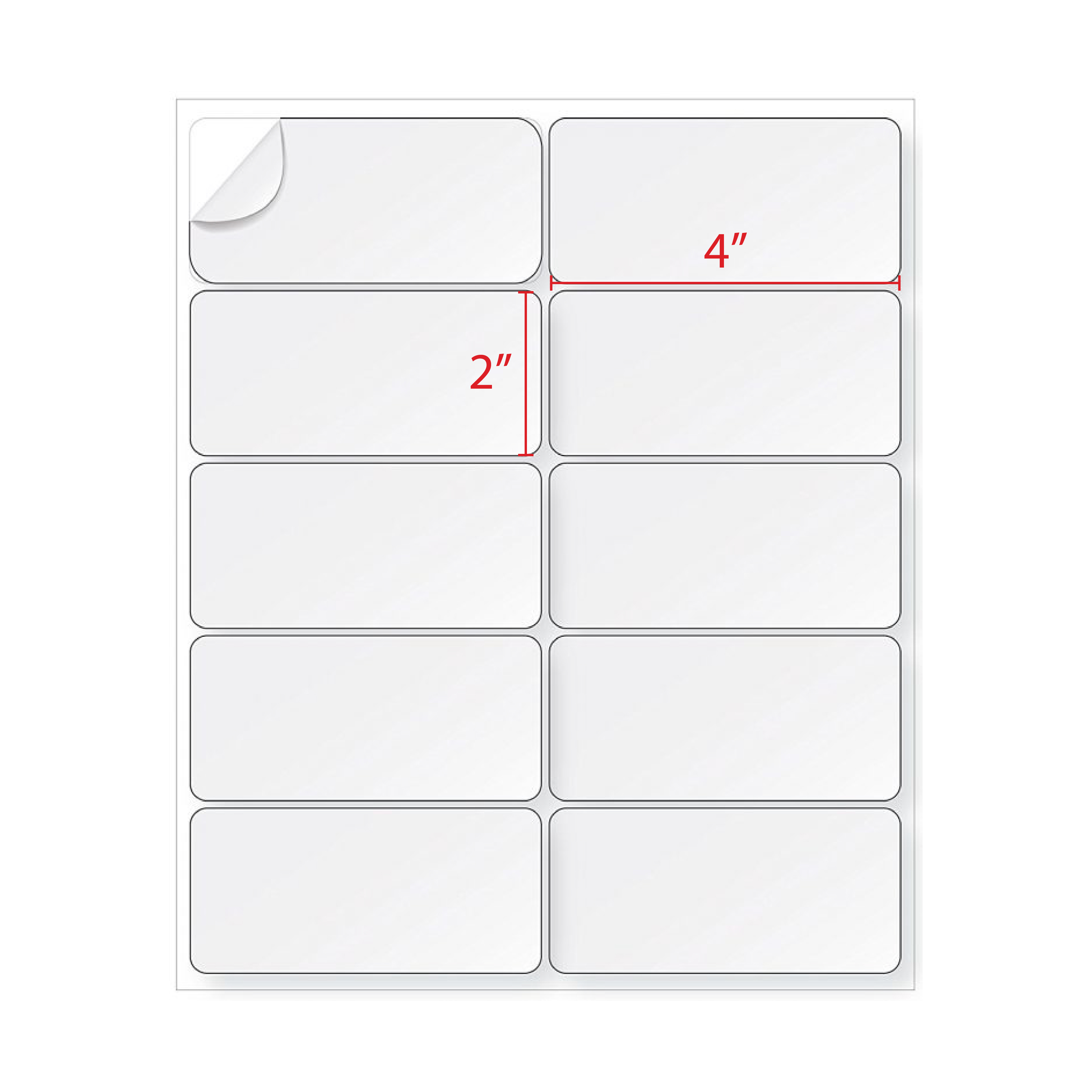 2x4 Labels For Address Same Size As Compatible Avery 5163 5263 8163 EnKo Products