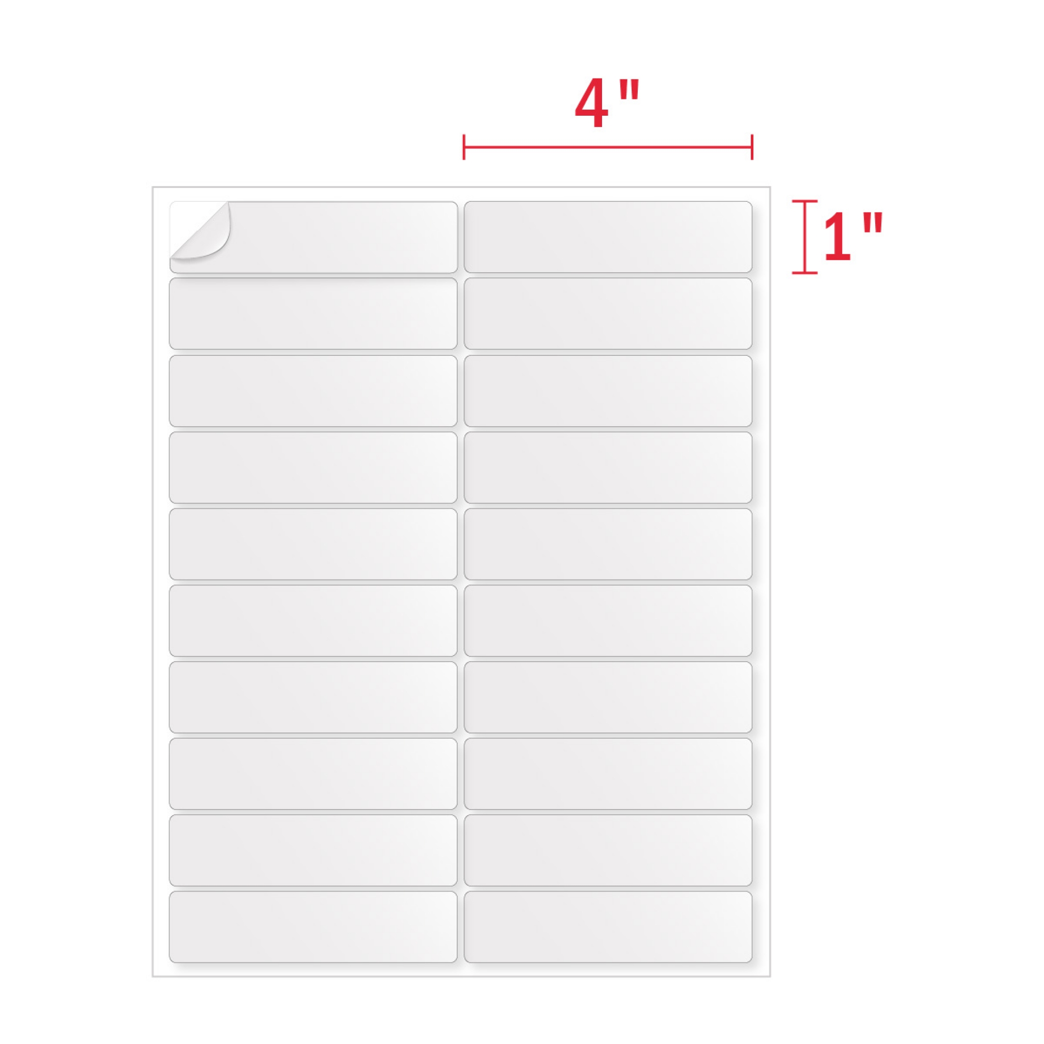 14 Labels Per Sheet of 1-1/3" x 4" White Address Labels